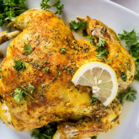 Instant Pot Turmeric Rotisserie Chicken - The Roasted Root