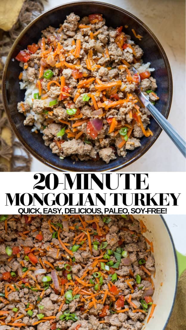 20-Minute Mongolian Turkey - The Roasted Root