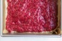 5-Ingredient Raspberry Crumb Bars (Gluten-Free, Vegan) - The Roasted Root