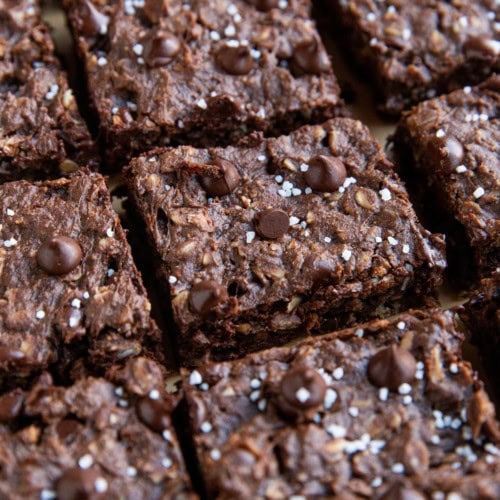 Double Chocolate Peanut Butter Oatmeal Cookie Bars - The Roasted Root