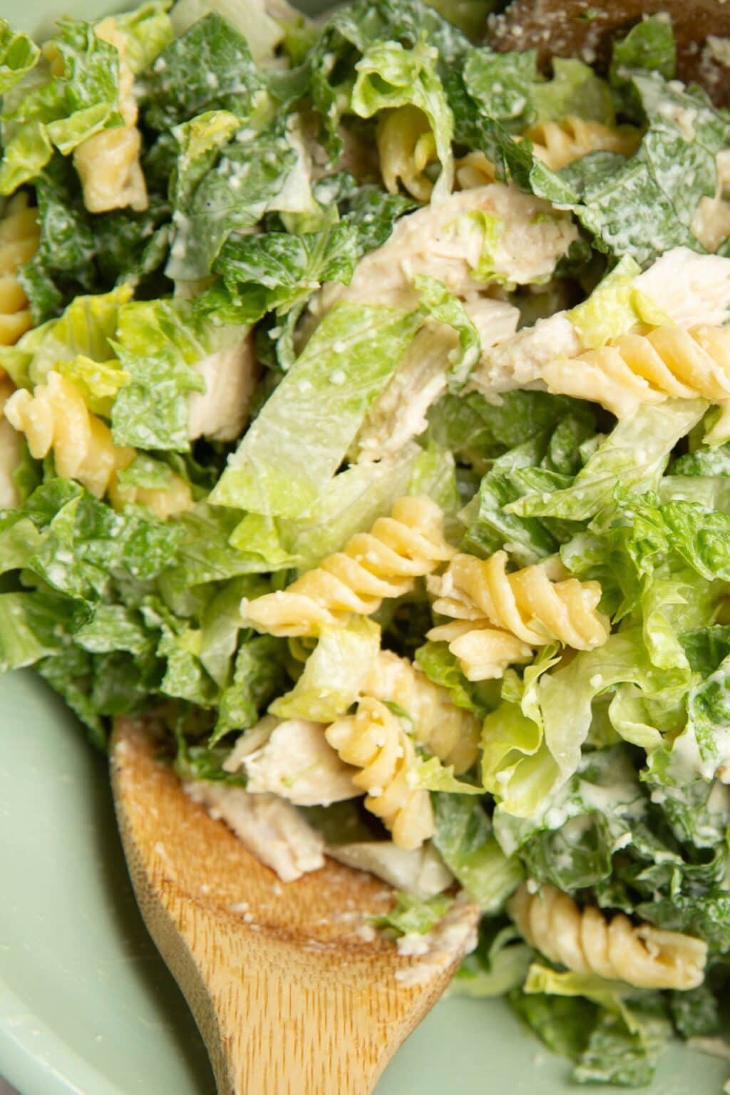 Chicken Caesar Pasta Salad - The Roasted Root